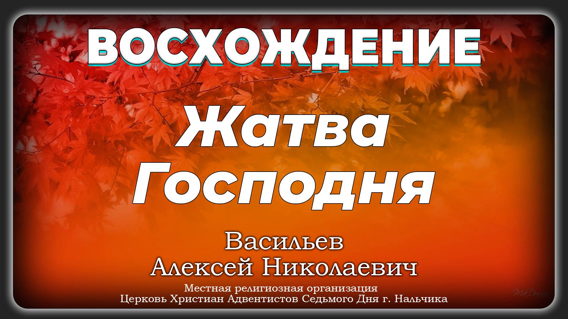Жатва Господня | Васильев Алексей Николаевич. Запись за 05.10.2024.