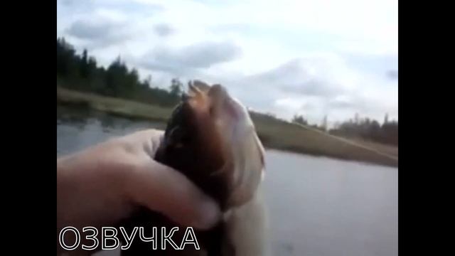 Оригинал-Озвучка (Язь)