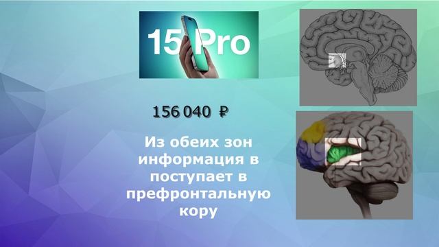 купить или не купить