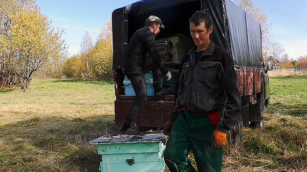 🐝 ПАСЕКА С НУЛЯ И НУЛЕМ В КАРМАНЕ: ЭТА ДОСКА НЕ КОМУ НЕ НУЖНА БЫЛА, ЛЮДИ ПОЖАЛЕЛИ