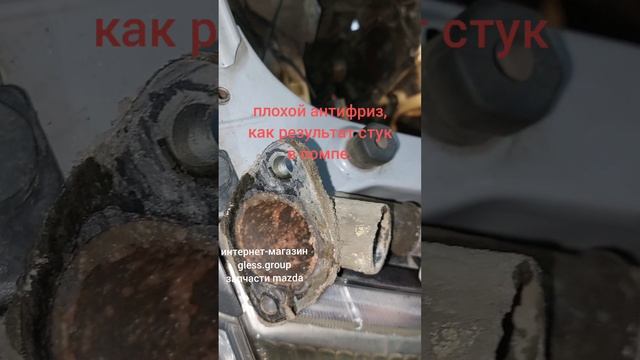 Mazda Demio помпа, сальники и ГРМ