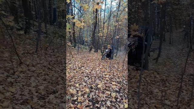 Поднялся на гору в лесу на эндуро