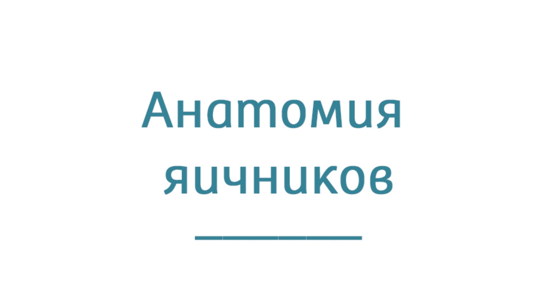 Анатомия яичников