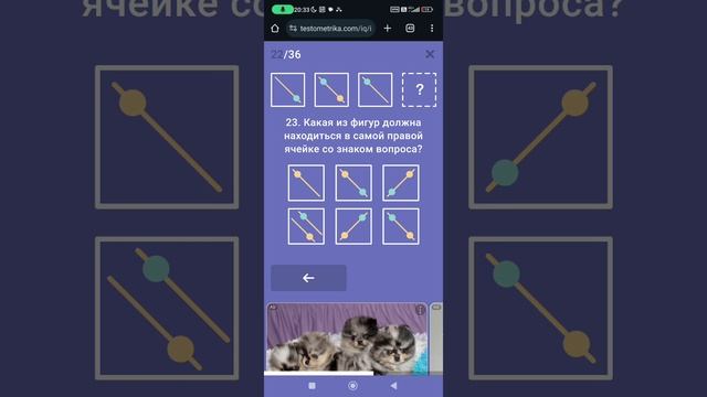 iq тест , у меня сто iq