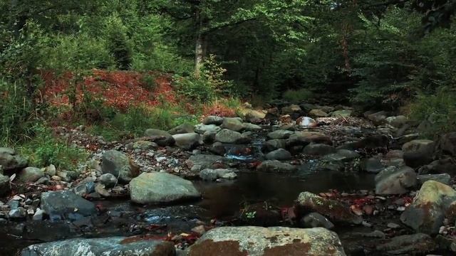 СЫН ЦЕРКОВНЫЙ часть 11