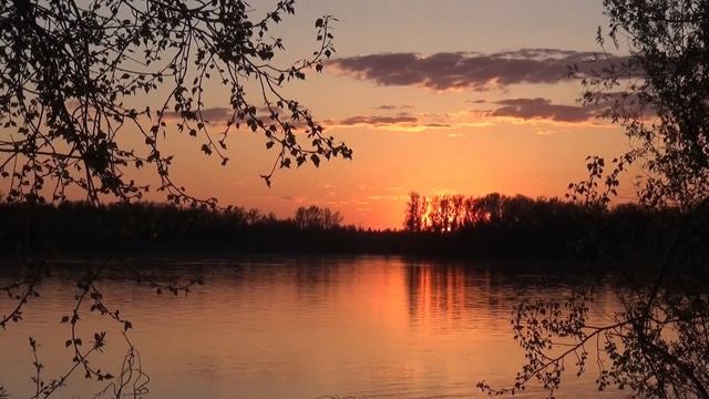 Piazzolla - Milonga del angel. Марио Стефано Петродарки - бандонеон. Дирижёр - П. Вандиловский.