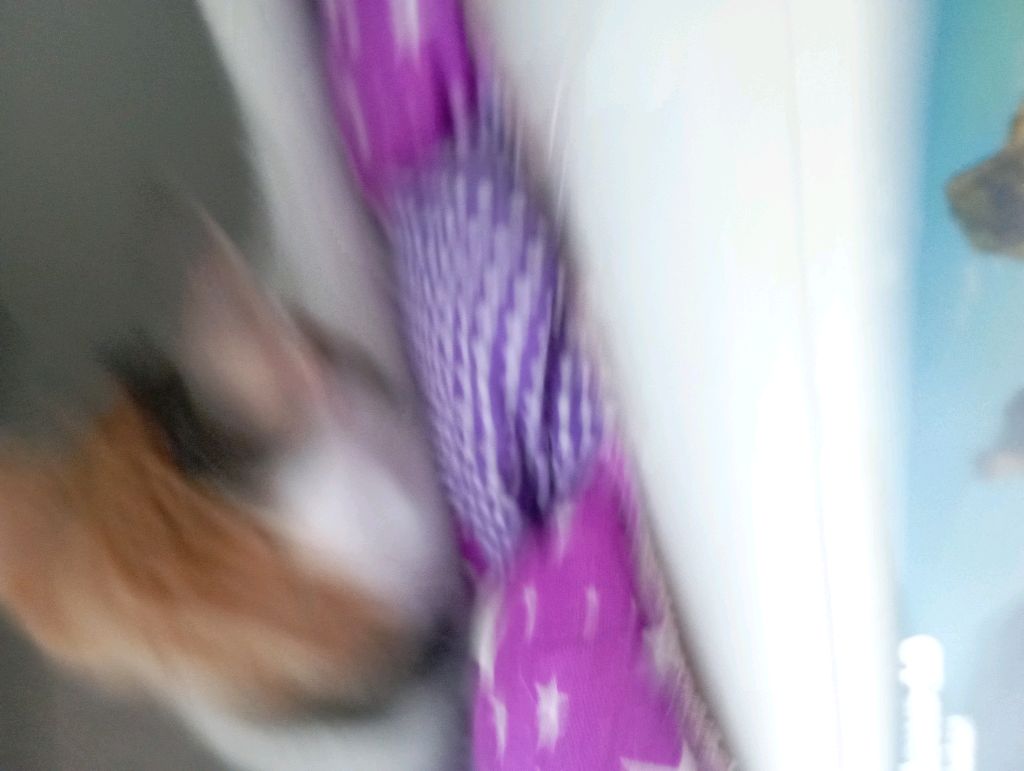 Любые игры снова продолжение