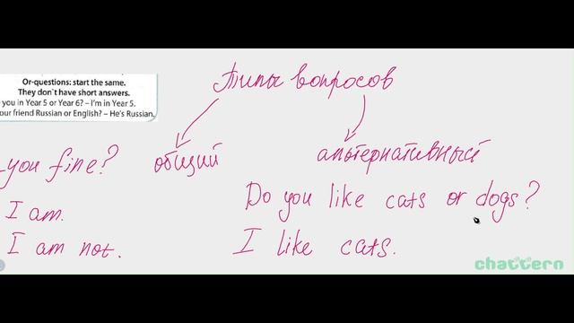 Общие и альтернативные вопросы