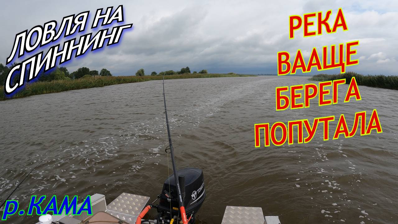 Кама. Спиннинг. АНОМАЛЬНАЯ ВОДА. Такого там мы не видели ни разу.