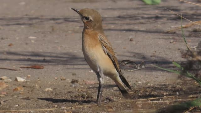 Каменка_#4, Крылатское, 20 сентября 2024