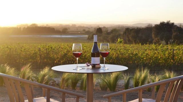 Мистер Лис-Вино и ветер Коста-Брава