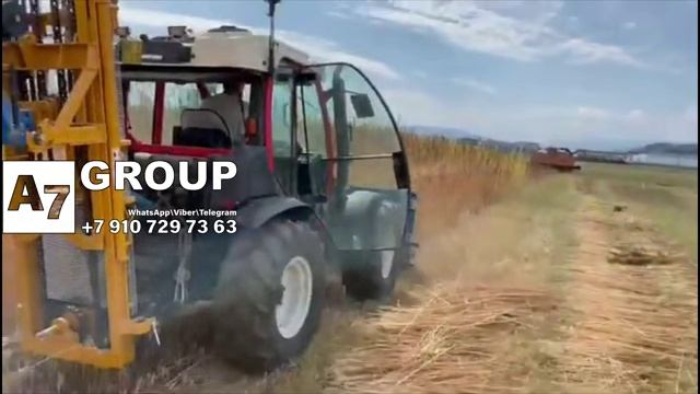 Уборка стебля и семенной части технической конопли за один проход #комбайн  #косилка  #конопля