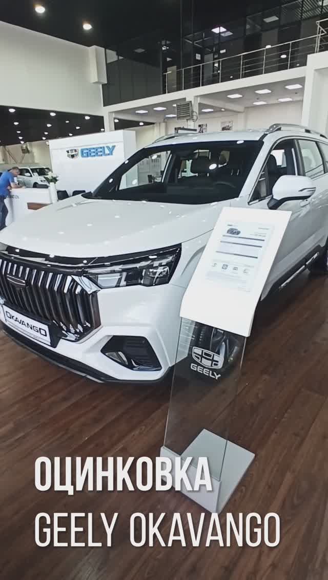 Оцинковка Geely Okavango