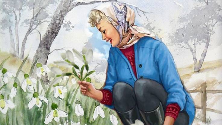 Мой двор . Подснежники в феврале