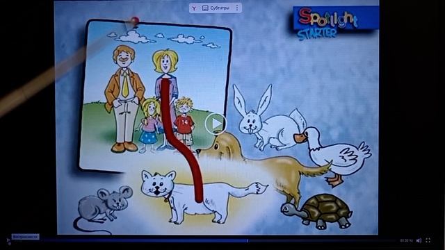 Мои питомцы Урок 4 Английский в фокусе для начинающих Spotlight Starter