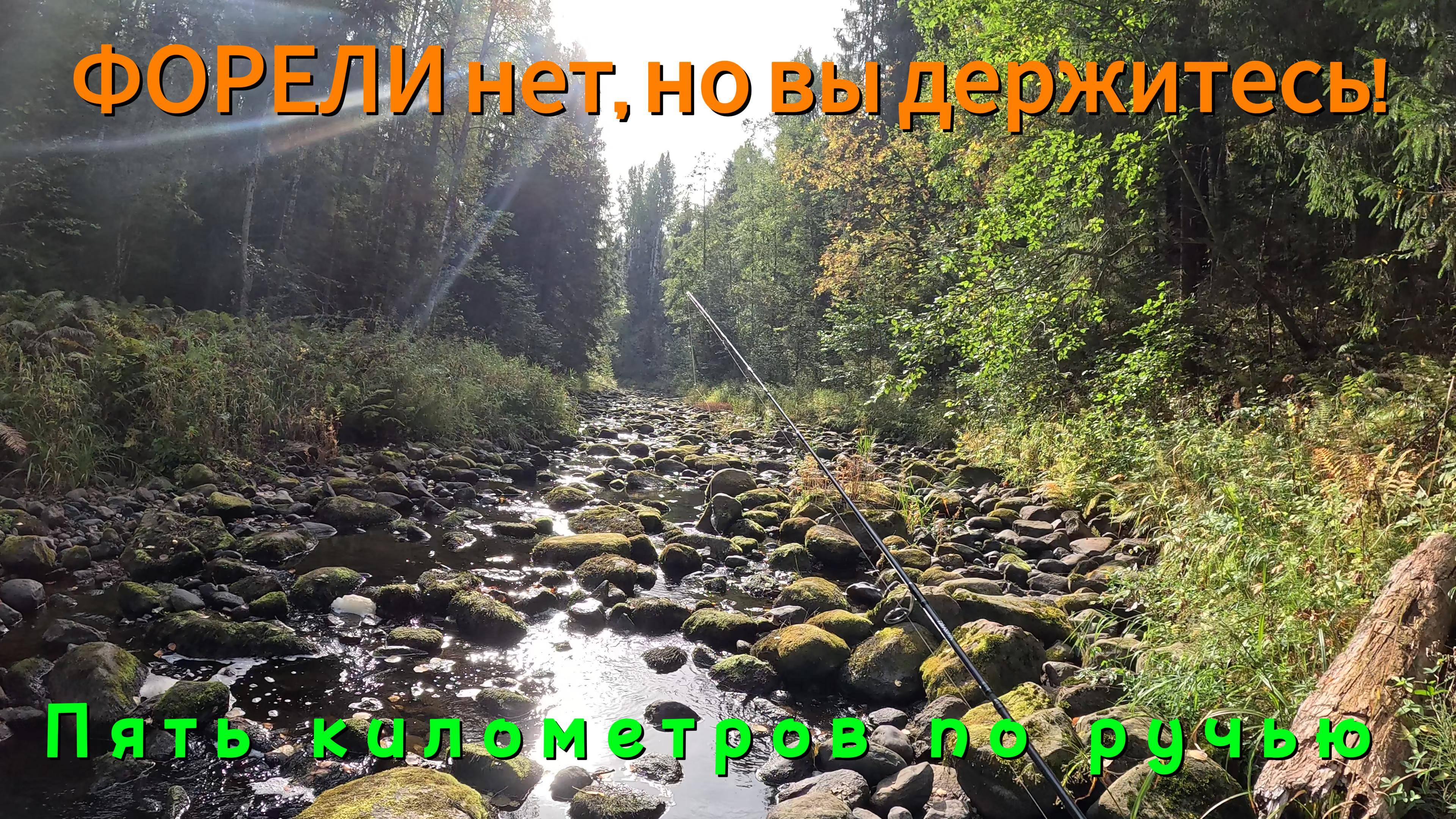 ФОРЕЛИ нет, но вы держитесь! Пять километров по ручью в поисках пятен