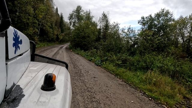 Газ 3308 встретили Лису на дороге