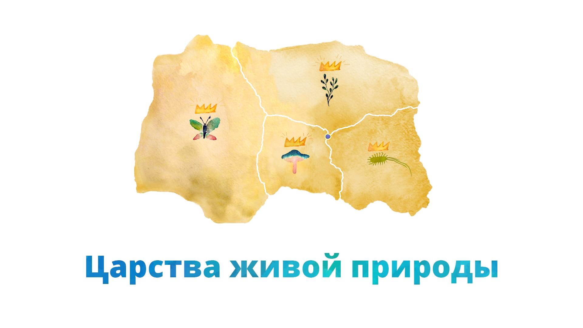 3. Царства живой природы