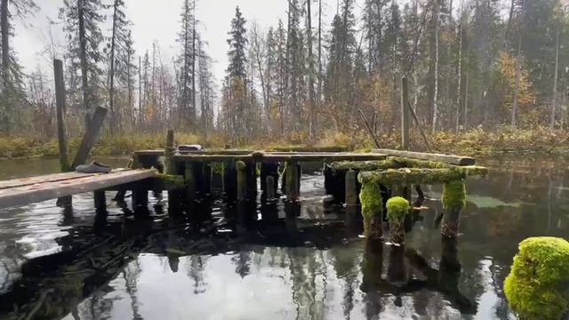 #Моржевание/Закаливание