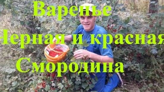 Варенье _ Черная и красная смородина