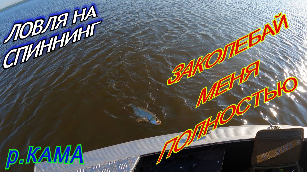 Спиннинг. БЛЁСНЫ-ЗАКОЛЕБАЛКИ и их пожиратели ОКУНЬ с ЖЕРЕХОМ.