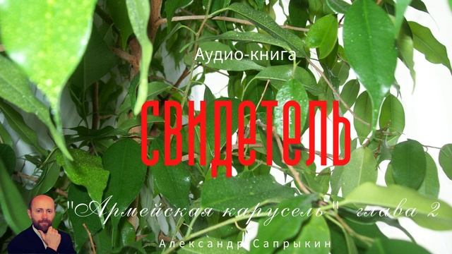 Армейская карусель глава 2, аудио книга Свидетель. Читает автор Александр Сапрыкин.