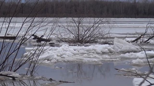 ЛЕДОХОД на ОБИ.17 апреля 2024 г. КИРЕЕВСК-СФТИ. Муз. Рахманинов. Элегия. Дирижер. В.Спиваков.