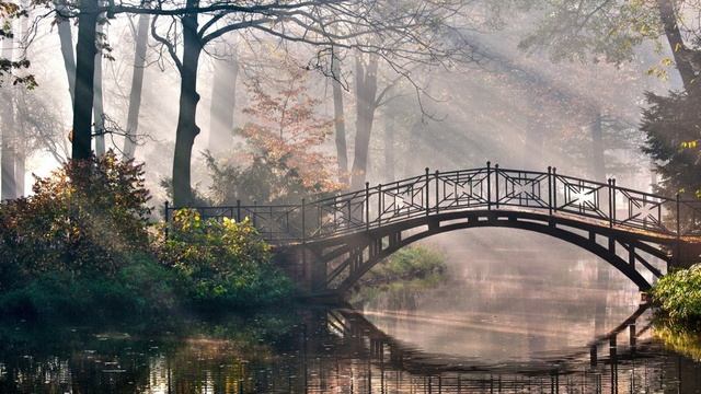 Мистер Лис-Мост через вечность