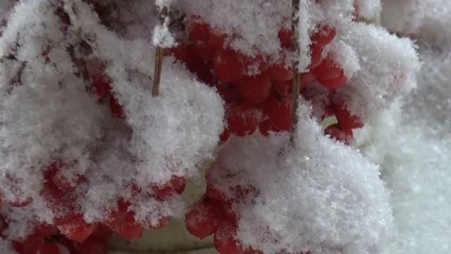 СНЕЖНЫЙ ВАЛЬС.