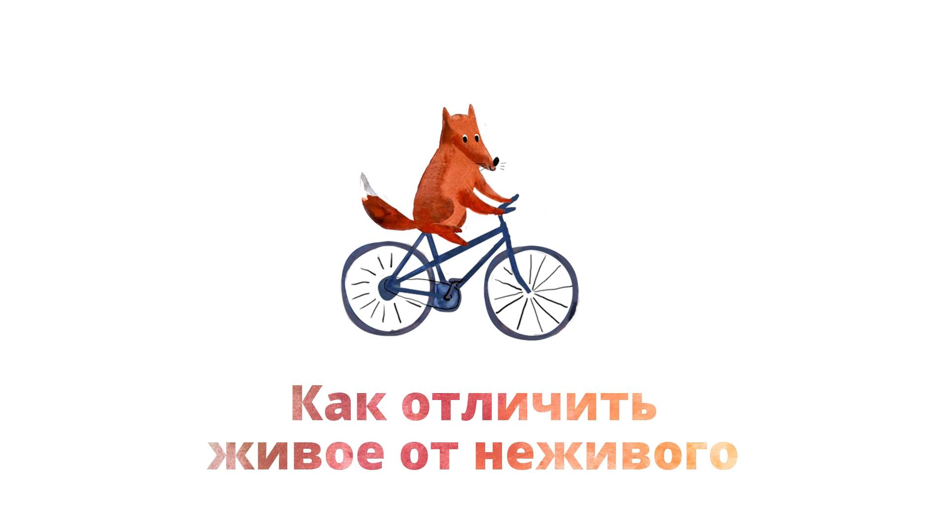 2. Чем живое отличается от неживого