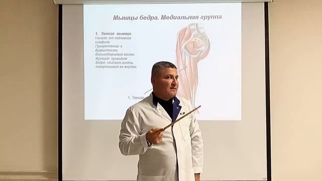 Эдгар Кафаров - Мышцы нижней конечности _ Muscles of the lower extremity