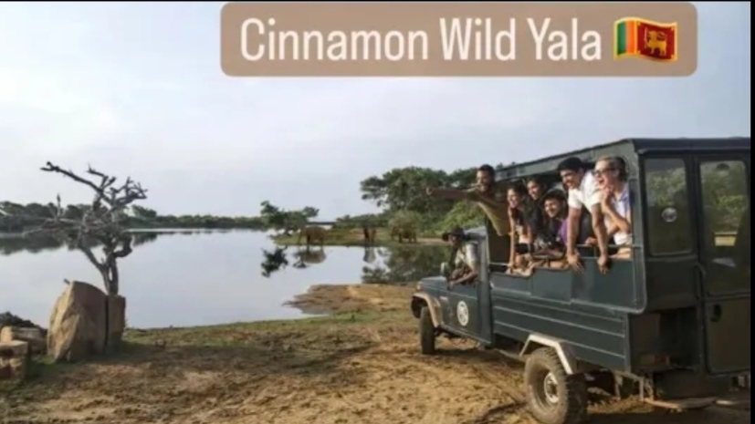 Cinnamon Wild Yala лодж в 5 минутах от Парка Яла Шри -Ланка #Шриланка #паркяла