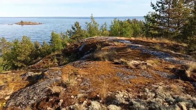 Ладога . июнь 24 го.