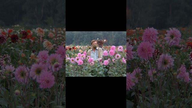 "Продолжение жизни в виде растения для них благо". "Кин-дза-дза"#сериалы #фильмы #нарезки