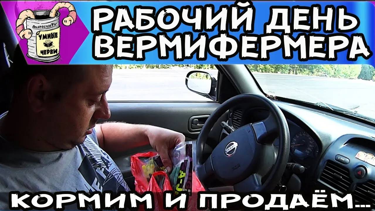 Рабочий день вермифермера! Кормление дендробены.