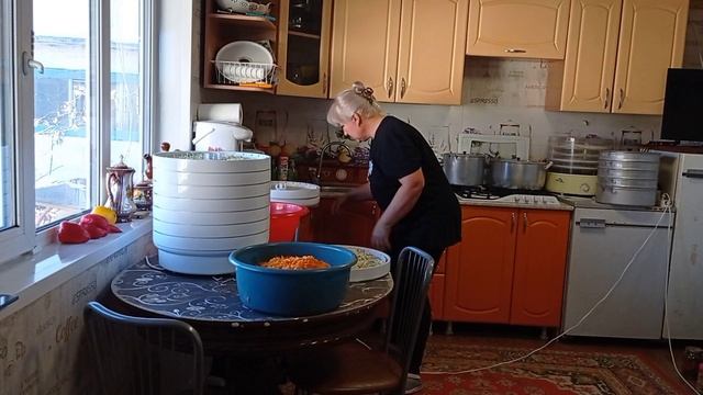 Убралась в Теплице. ЩИ, аж ложка стоит 😅. Укрыли ЧЕСНОК 🧄. Сушка продолжается.