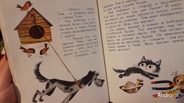 ЗНАМЕНИТЫЙ УТЕНОК ТИМ. Часть 2.