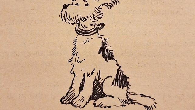 ВЕСЕЛЫЕ РАССКАЗЫ Н.НОСОВА. ДРУЖОК. Часть 2