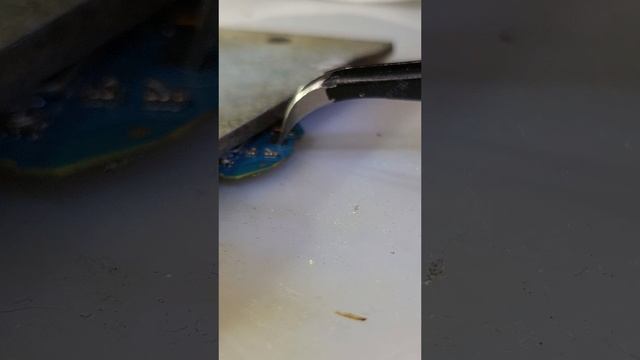 Стандартный ремонт Samsung Galaxy Watch 1 (R800) / Gear S3 (R760)