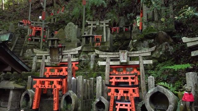 Релакс Амазон_002