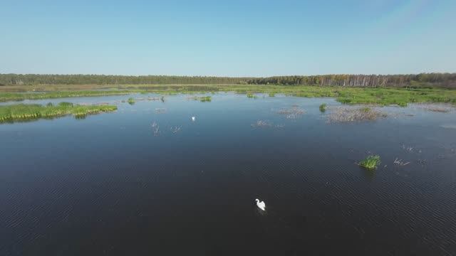 Полёты выходного дня