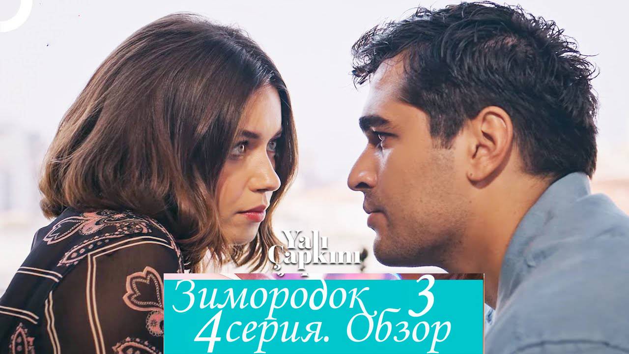 Зимородок 3 / 4 Серия / Обзор - пересказ.
