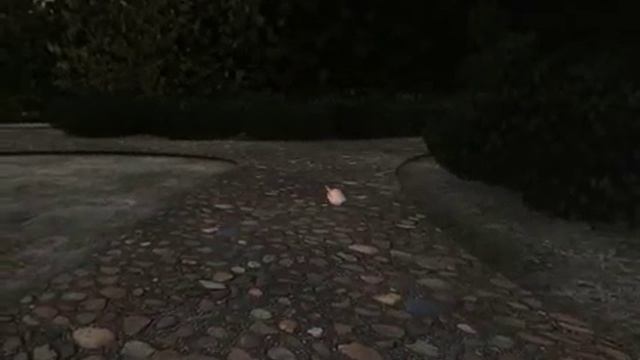 Let's Play- Scratches- Director's Cut - Part 18 - Poor Mrs. BlackWood