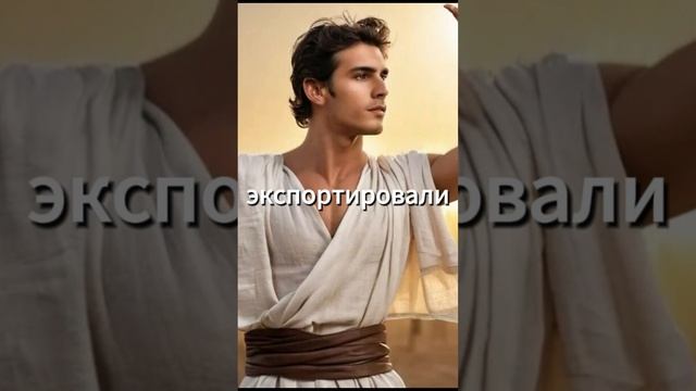 Микенская цивилизация: начало греческой культуры и расцвет материковой Греции