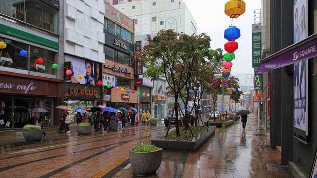 Мистер Лис-Мелодия дождя в Пусане