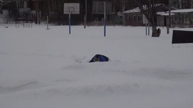 Проводы зимы. КИРЕЕВСК-СФТИ. 6 МАРТА 2022 Г.