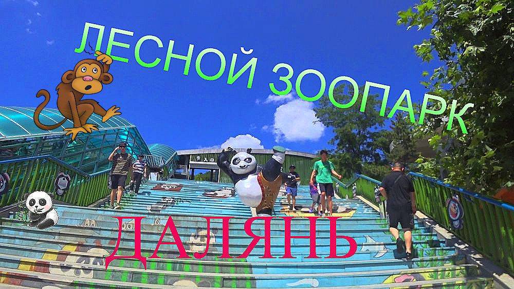 #ИЗЮМИНКА г.ДАЛЯНЬ #ЛЕСНОЙ ЗООПАРК
