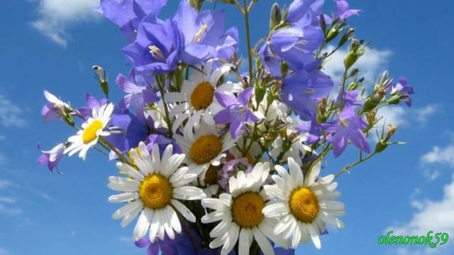 Ой цветики полевые.Белый деньЕлена Васелек