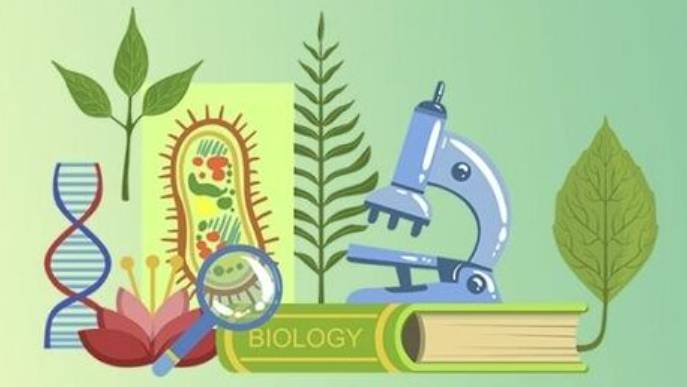 Биология 7 класс. Класс Птицы.