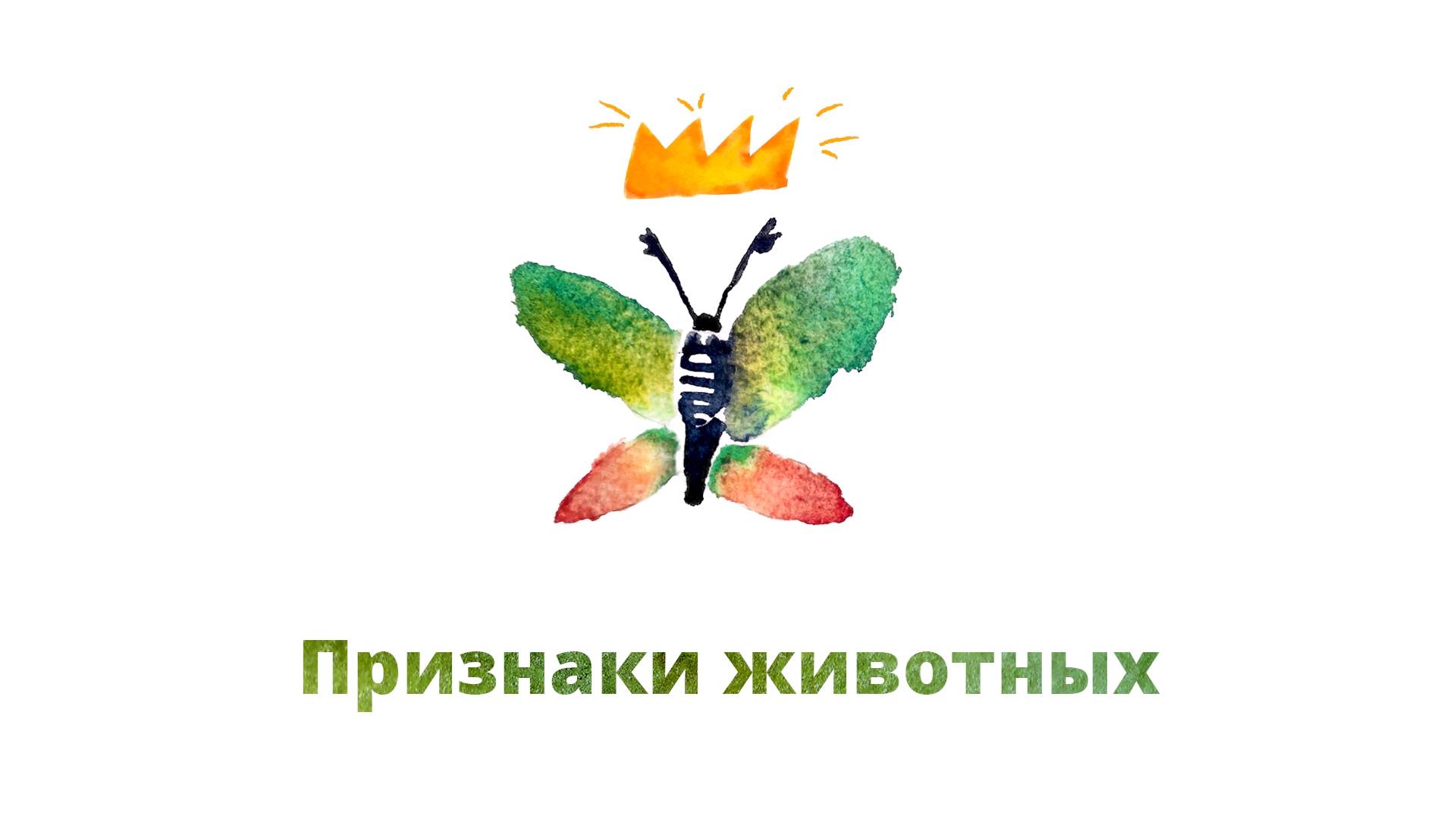 4. Признаки животных